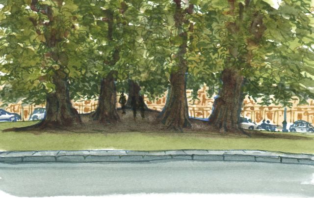 Urban trees | Mostly drawing