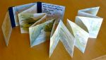 Concertina sketchbooks | Mostly drawing