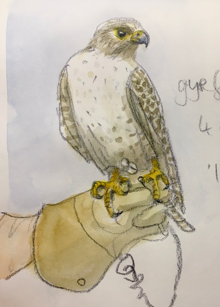 Mostly drawing | Daily sketching from life, based in Bath, UK
